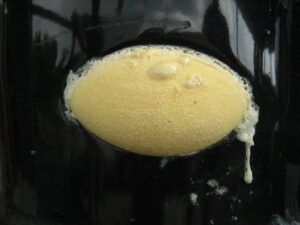 Syntho-Plug Activated Foam Leak Plug - Copro EFP